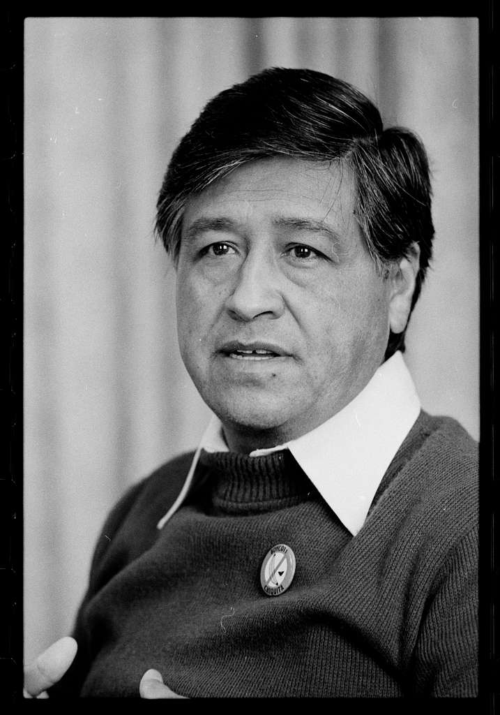 12 Hispanic Figures to Teach Kids About | Rayito de Sol